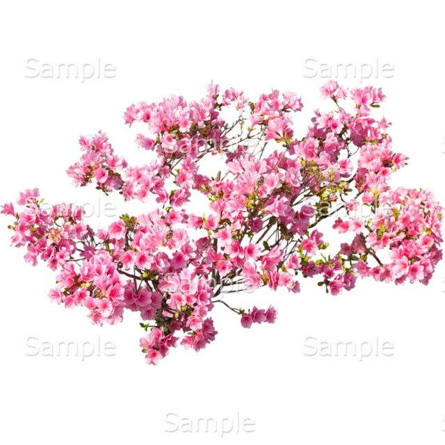 tsu_162 – sozaiya.com