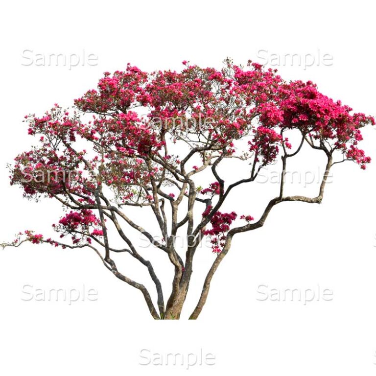 tsu_168 – sozaiya.com