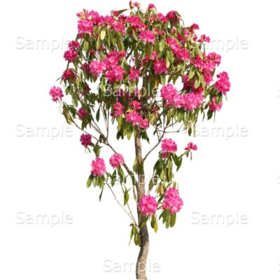 tsu_169 – sozaiya.com