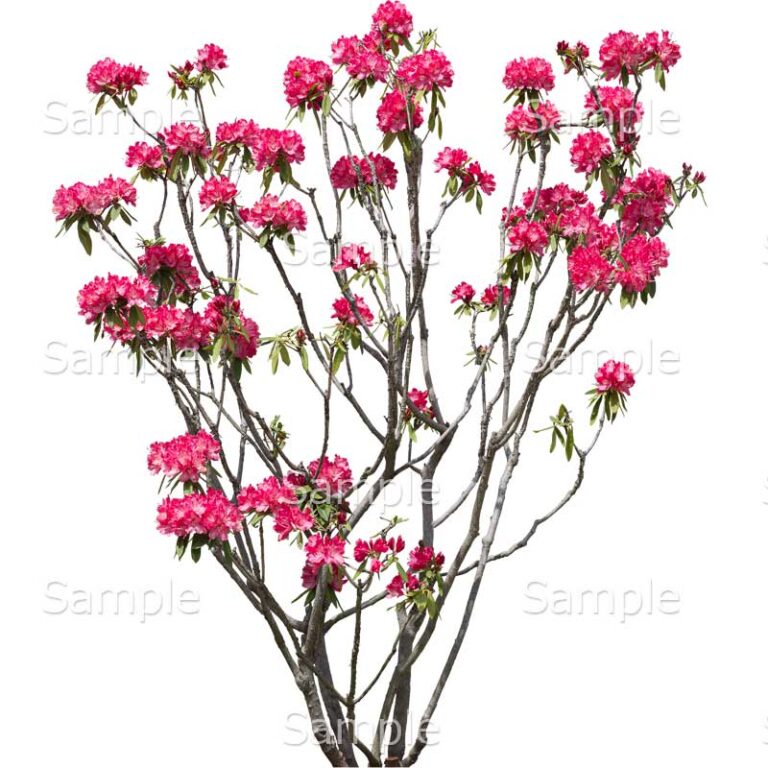 tsu_170 – sozaiya.com