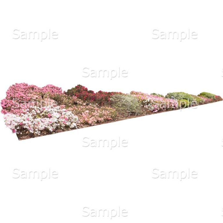 灌木材料 – sozaiya.com