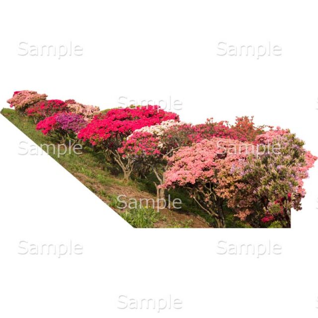 tsu_177 – sozaiya.com