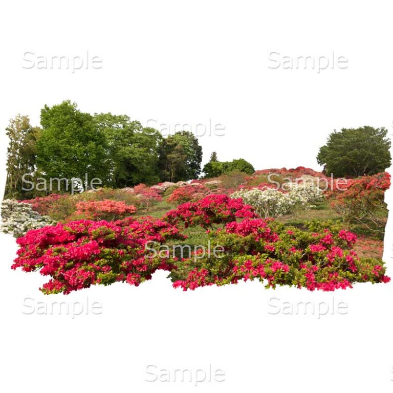 tsu_179 – sozaiya.com