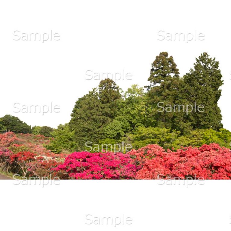 L1008 – sozaiya.com