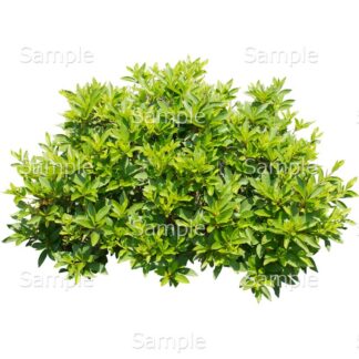 tsu_181 – sozaiya.com