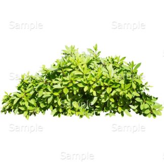 L1021 – sozaiya.com