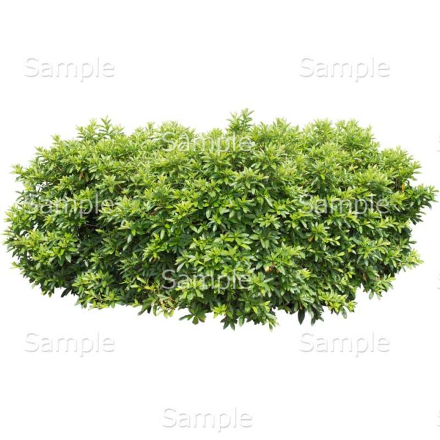 tsu_188 – sozaiya.com