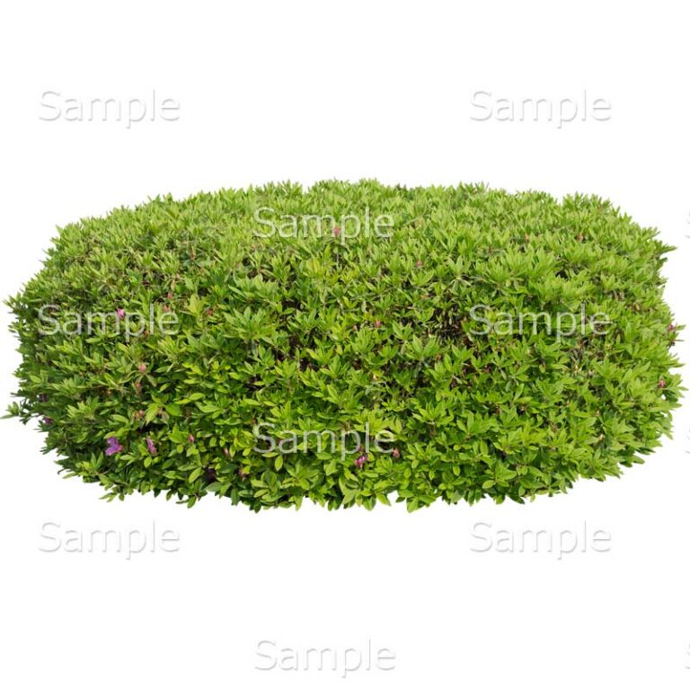 tsu_189 – sozaiya.com