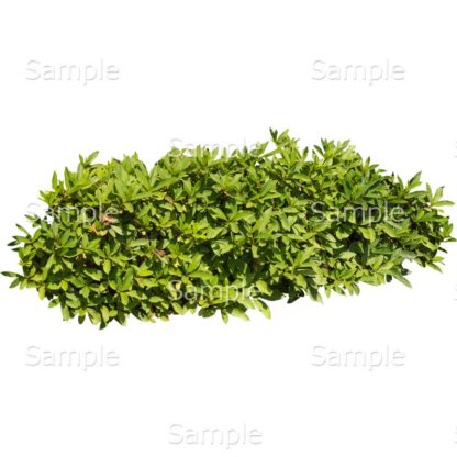 tsu_192 – sozaiya.com