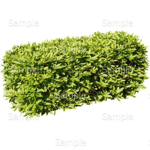 低木素材 – sozaiya.com