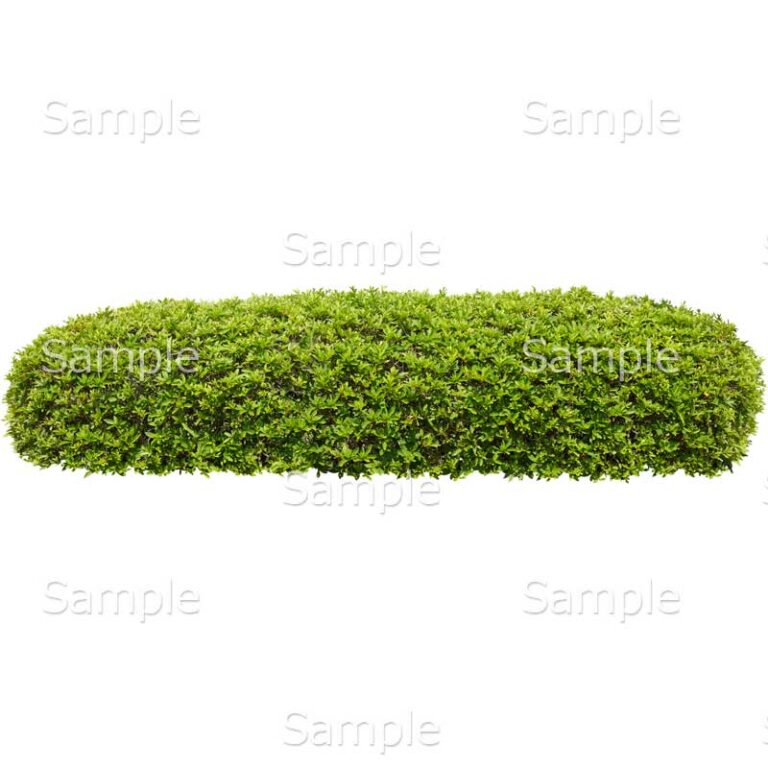 低木素材 – sozaiya.com