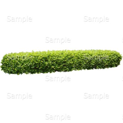 tsu_199 – sozaiya.com