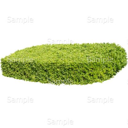 灌木材料 – sozaiya.com