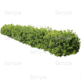 L1021 – sozaiya.com