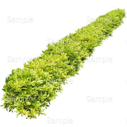 tsu_204 – sozaiya.com