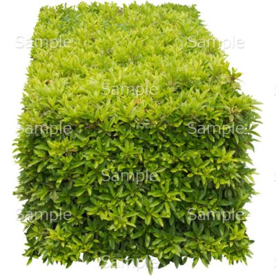 tsu_206 – sozaiya.com