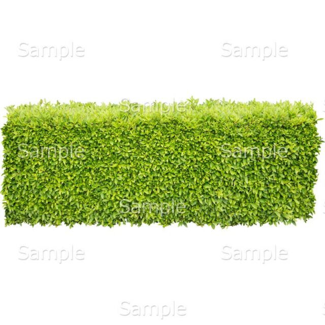 tsu_207 – sozaiya.com