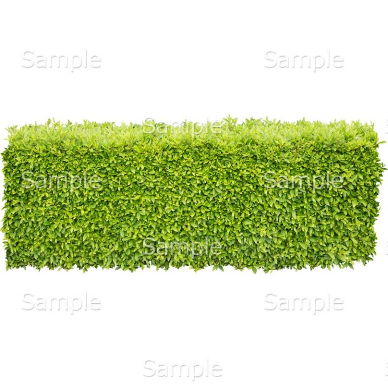 低木素材 – sozaiya.com