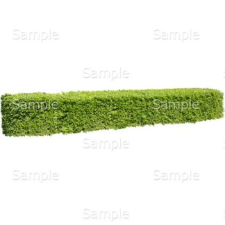 tsu_208 – sozaiya.com