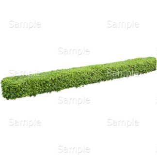 tsu_209 – sozaiya.com