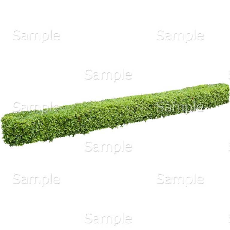 低木素材 – ページ 3 – sozaiya.com