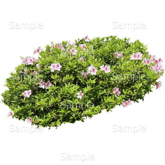 tsu_211 – sozaiya.com