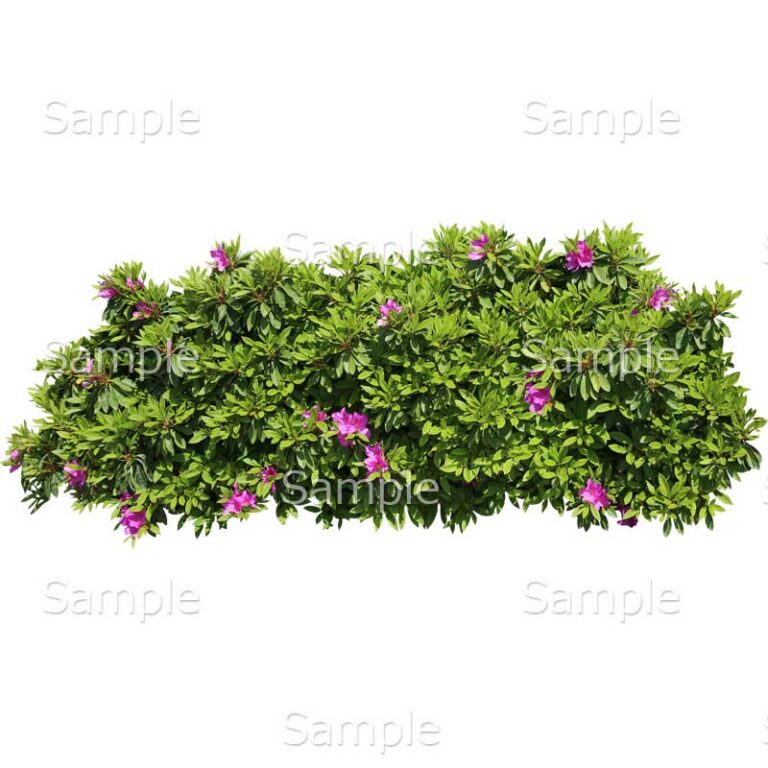 低木素材 – sozaiya.com