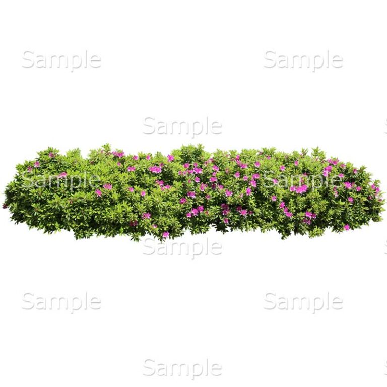 tsu_214 – sozaiya.com