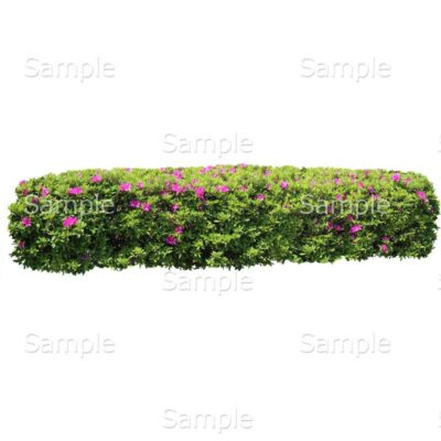 tsu_216 – sozaiya.com