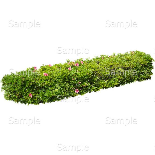 低木素材 – sozaiya.com