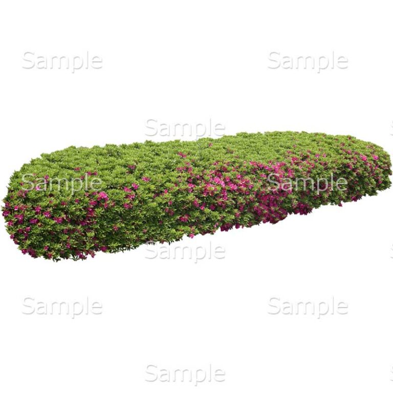 灌木材料 – sozaiya.com