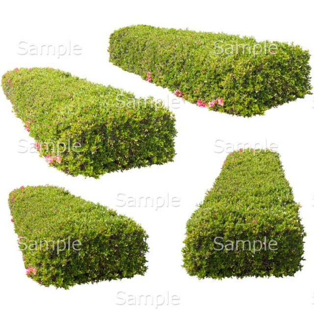 tsu_220 – sozaiya.com