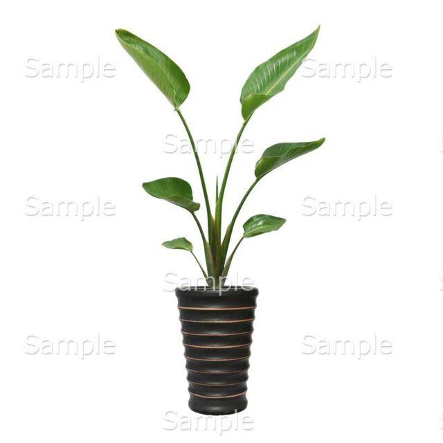 花素材 – sozaiya.com