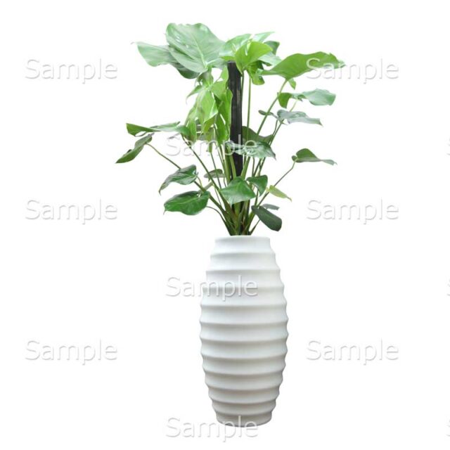 花素材 – sozaiya.com