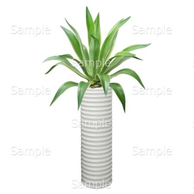 F1001 – sozaiya.com