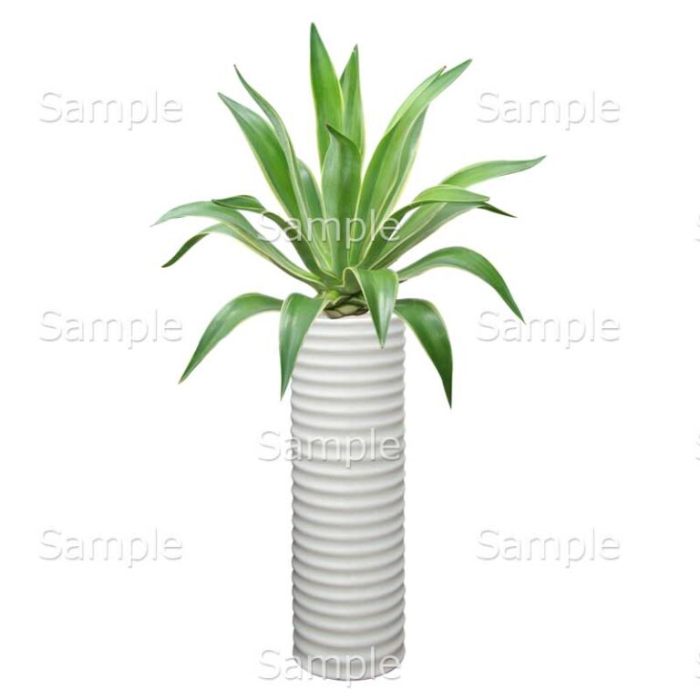 花材 – sozaiya.com