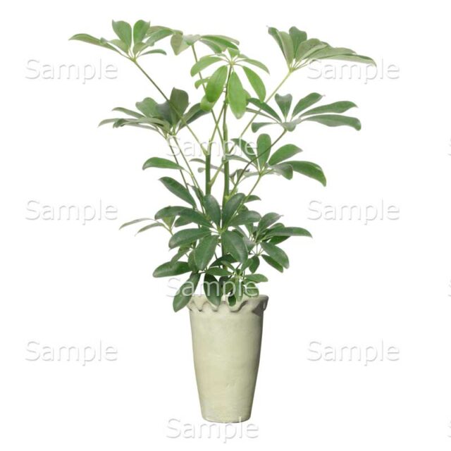 F1003 – sozaiya.com