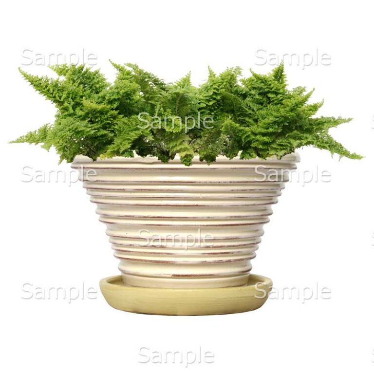 花素材 – sozaiya.com