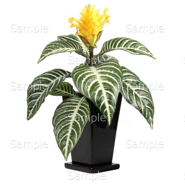 花素材 – sozaiya.com