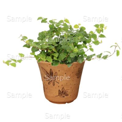 花素材 – sozaiya.com