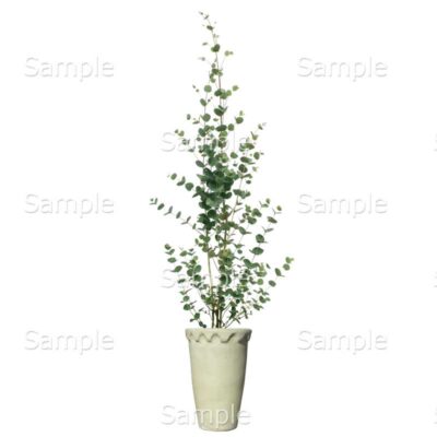 F1001 – sozaiya.com