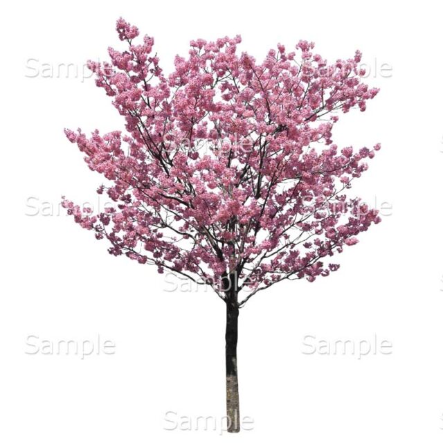 sa008 – sozaiya.com