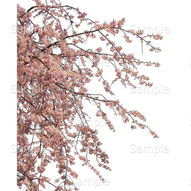 sa030 – sozaiya.com