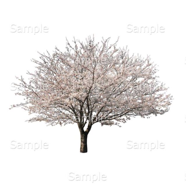 sa054 – sozaiya.com