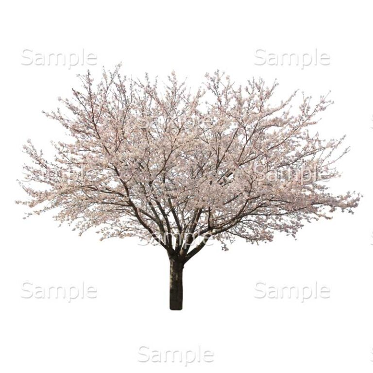 sa059 – sozaiya.com