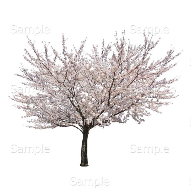 sa086 – sozaiya.com