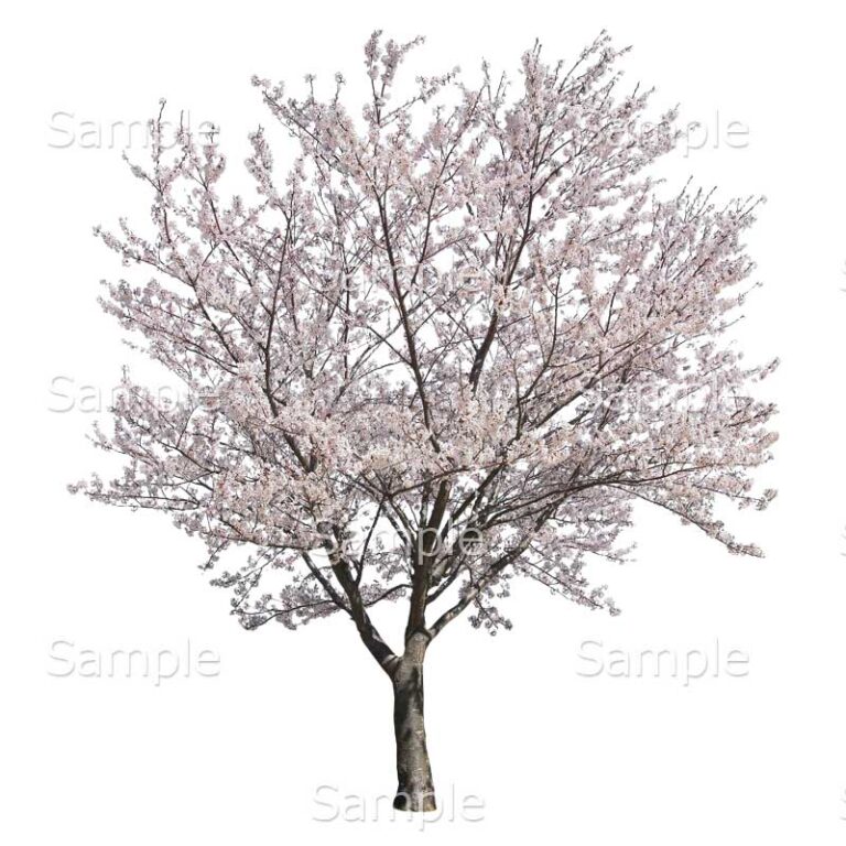 sa090 – sozaiya.com