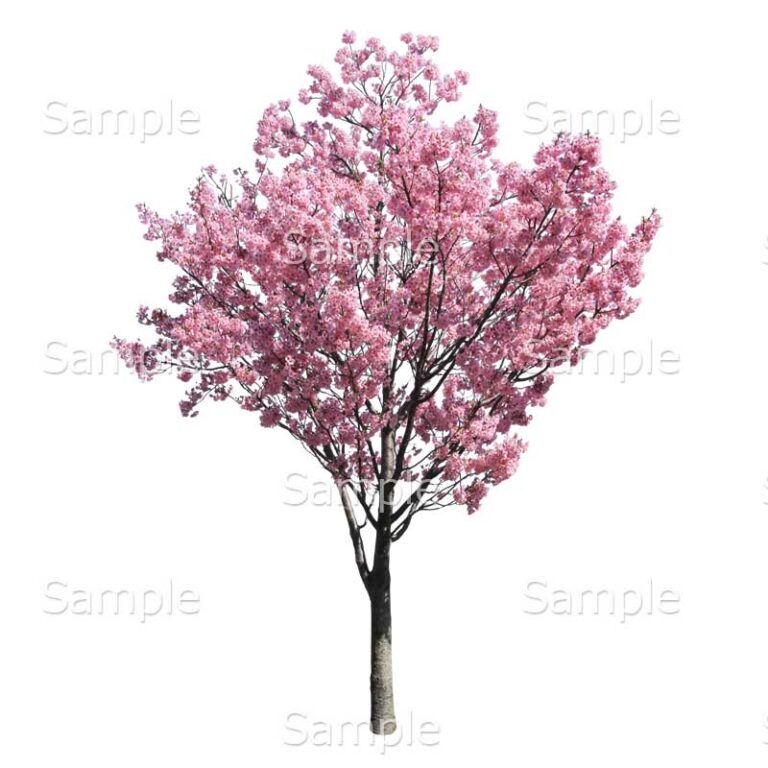 sa098 – sozaiya.com