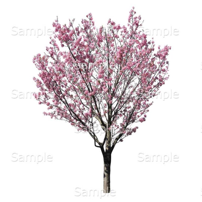 sa169 – sozaiya.com