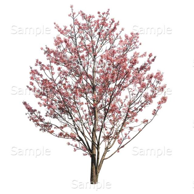 sa103 – sozaiya.com